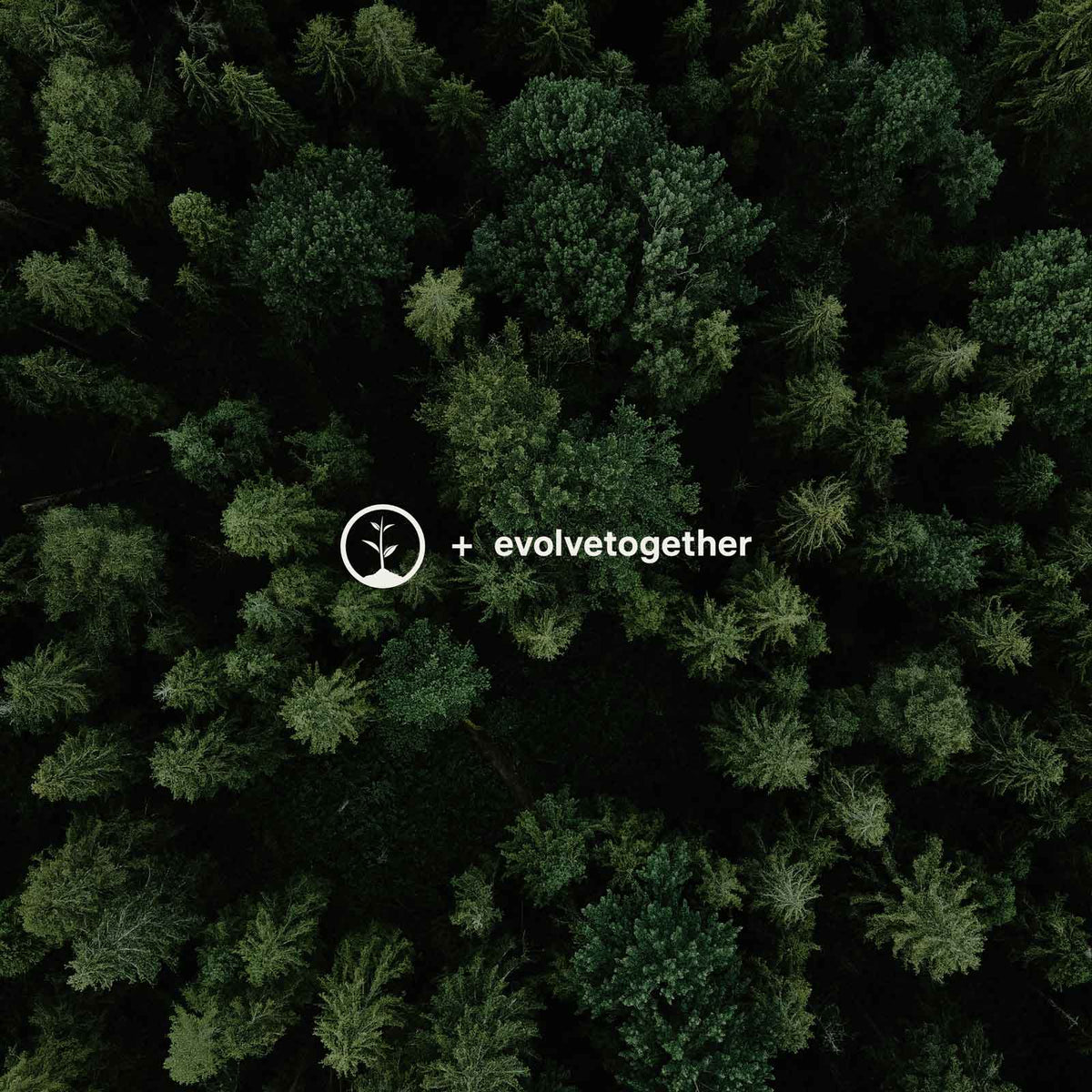 evolvetogether